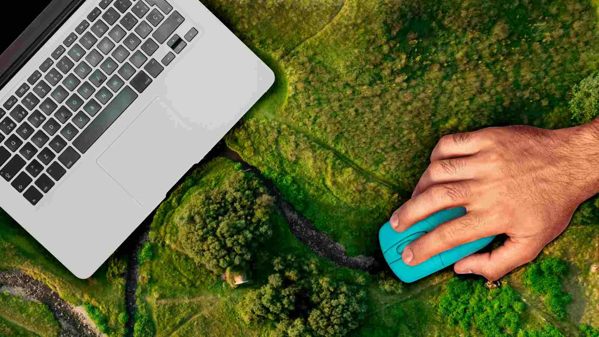 Qué es un Green Hosting y qué beneficios tiene