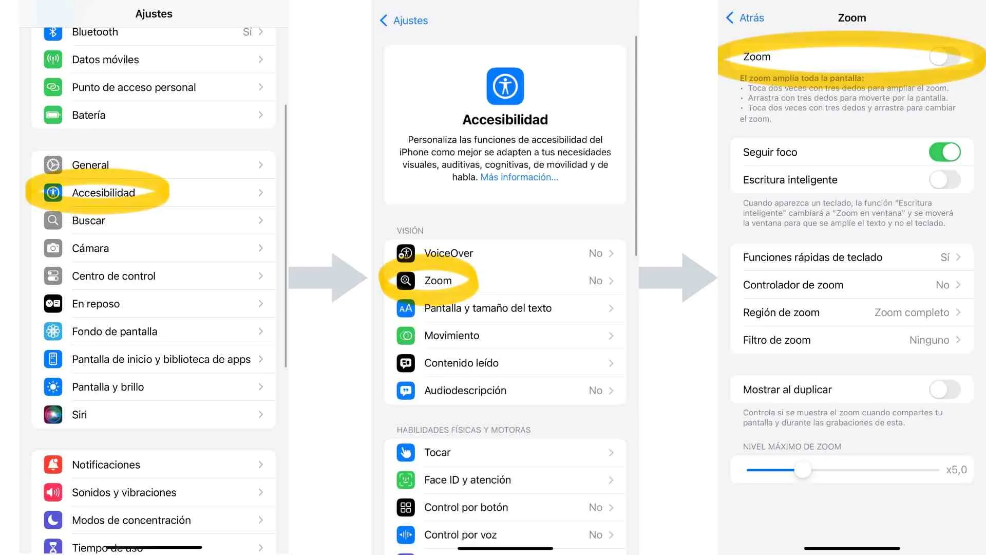 Cómo hacer zoom en cualquier parte de la pantalla del iPhone