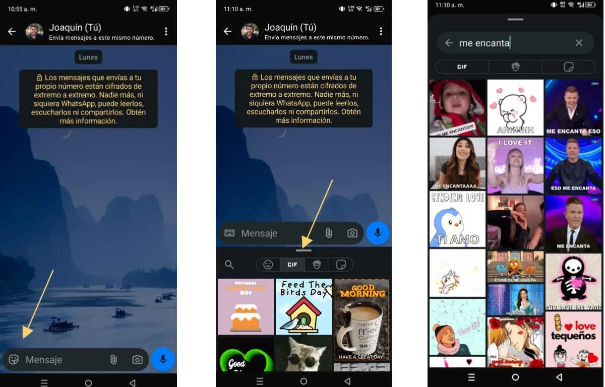 Cómo crear y enviar un GIF en WhatsApp
